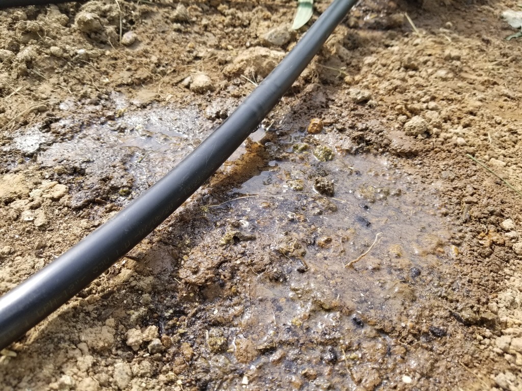 How to Install a Hose Bib Drip Irrigation System - Gasper Landscape ...