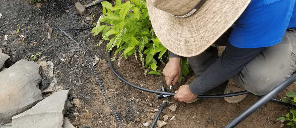 Hose Drip Irrigation System